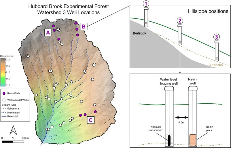 Forest Plumbing: How Hillsides “Flush” Nutrients Through the Soil ...