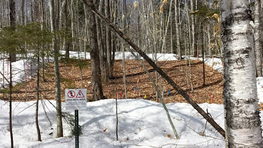 Home - Hubbard Brook Ecosystem Study