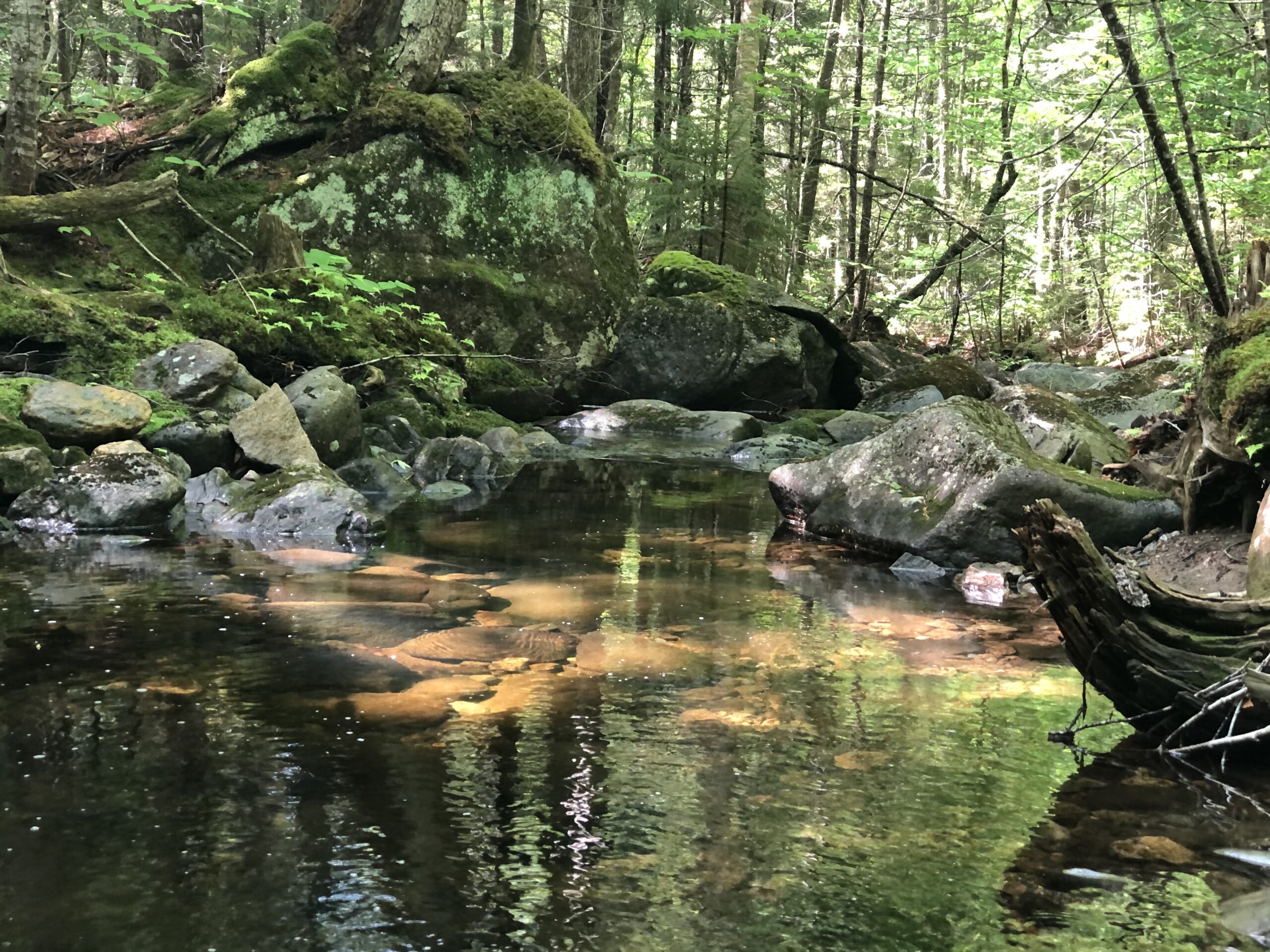 The Hidden Dynamics of Hubbard Brook's Headwater Streams - Hubbard ...