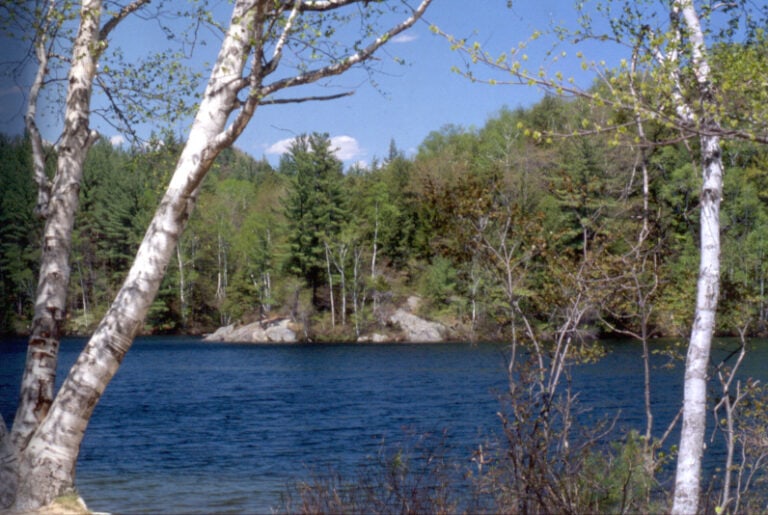 Mirror Lake - Hubbard Brook Ecosystem Study