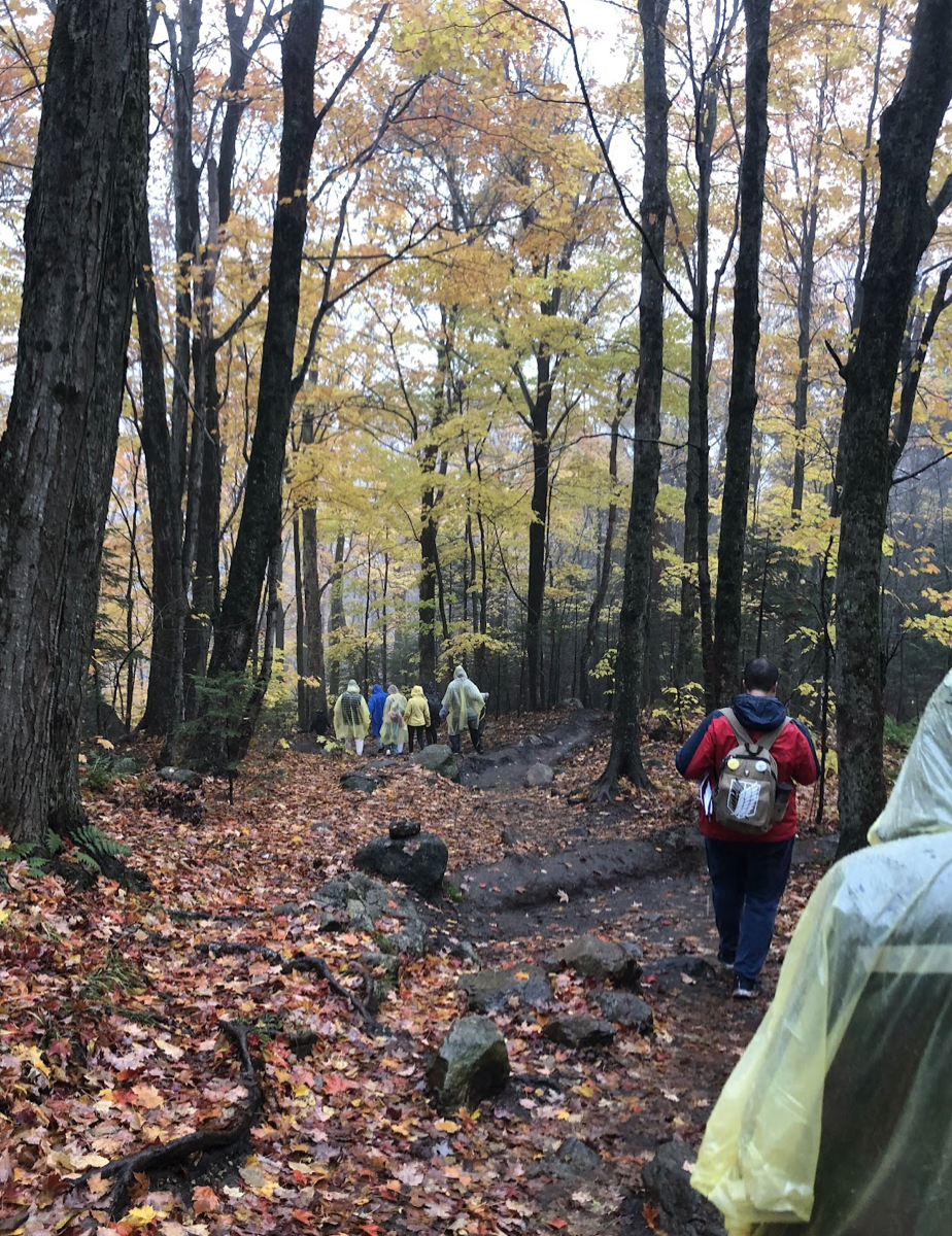 Welcome to the Woods - Hubbard Brook Ecosystem Study